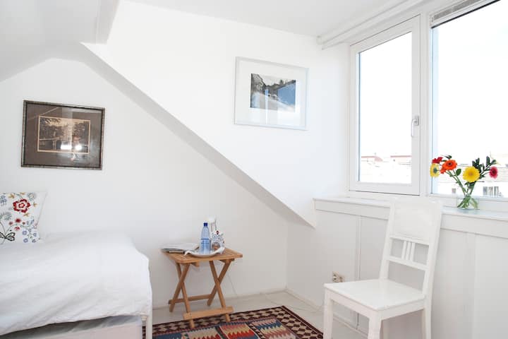 Haarlem Holiday Rentals & Homes - North Holland, Netherlands | Airbnb