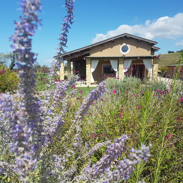 Villa Tarquinia - Tarquinia