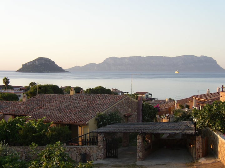 Sardinia Golfo Aranci - Villa Mirti On The Sea - 阿蘭奇灣城