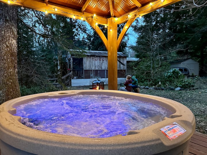 Rustic Rainier Cabin Getaway | Hot Tub + Pets Ok - Ashford, WA