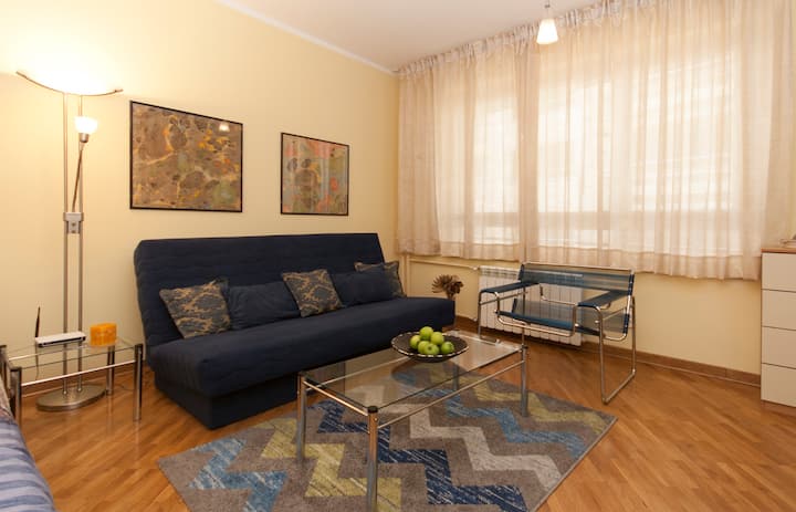 Stella Studio And Parking In The Building - Belgrade