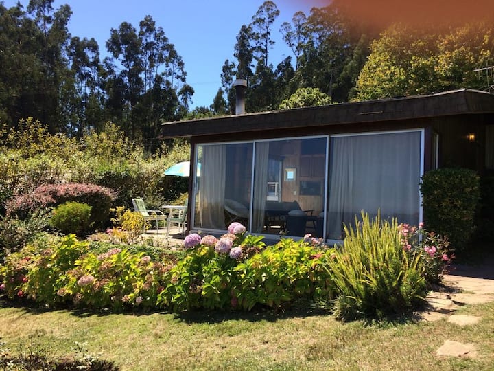 Beautiful House In Villa Cocholgue  -Tomé - Tomé