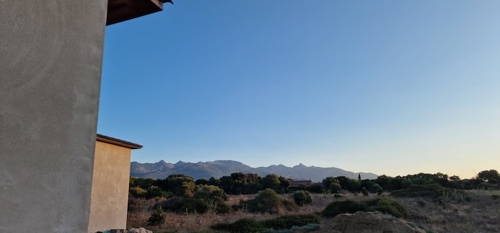 Dépendance - Figari