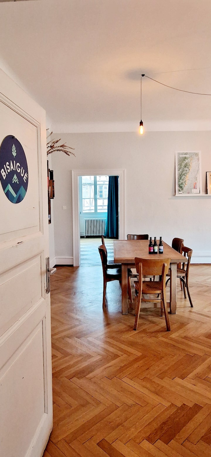 Le Bisaiguë, Appartement Spacieux En Plein Centre - Kaysersberg