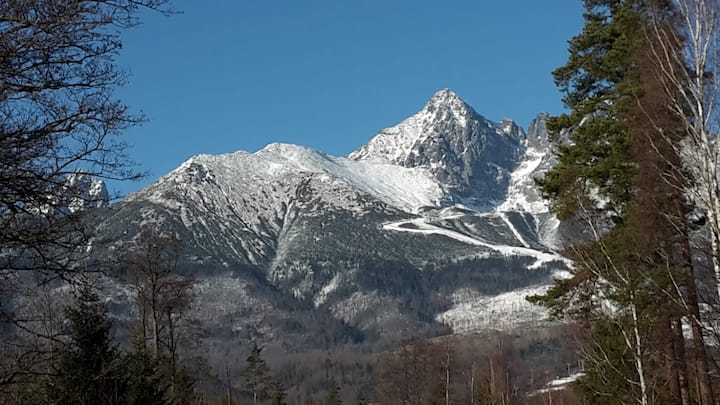 Reli Mafi Beautiful View - Starý Smokovec