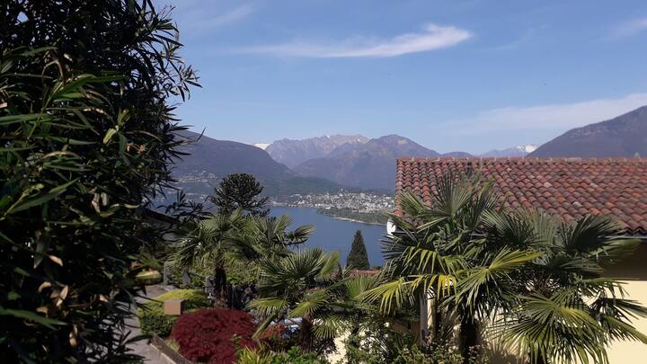 Gambarogno (Tessin) - Zuhause Mit Aussicht - Ascona