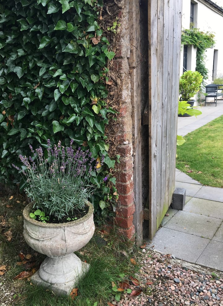 Lavender Cottage - Limavady