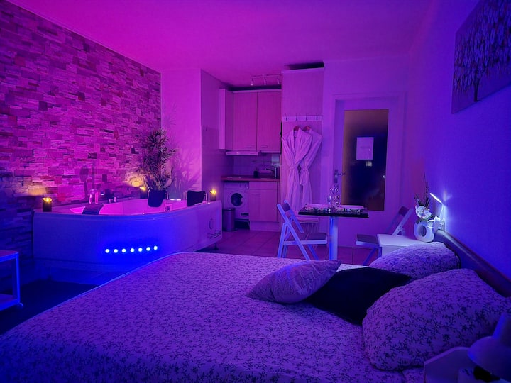 Vue Sur La Cathédrale De Strasbourg-studio - Illkirch-Graffenstaden