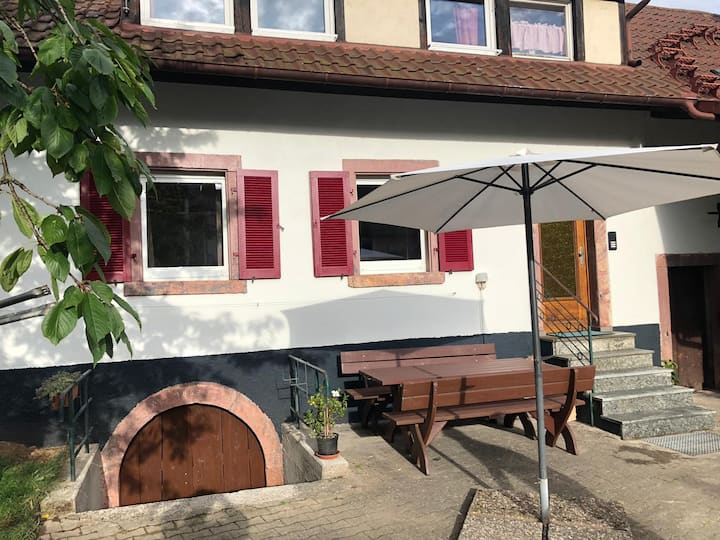 Fewo Bei Freiburg Mit Photovoltaik, Co2-neutral - Stegen