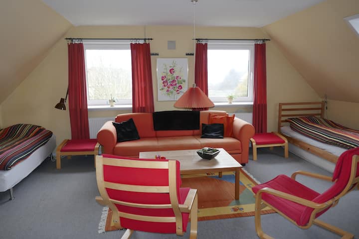 Large Room With Sitting Area - Billund
