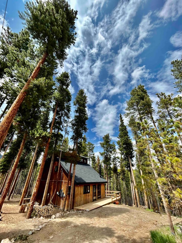 Escape On Peak 7-tin Cup Cabin In The Woods! - Frisco, CO