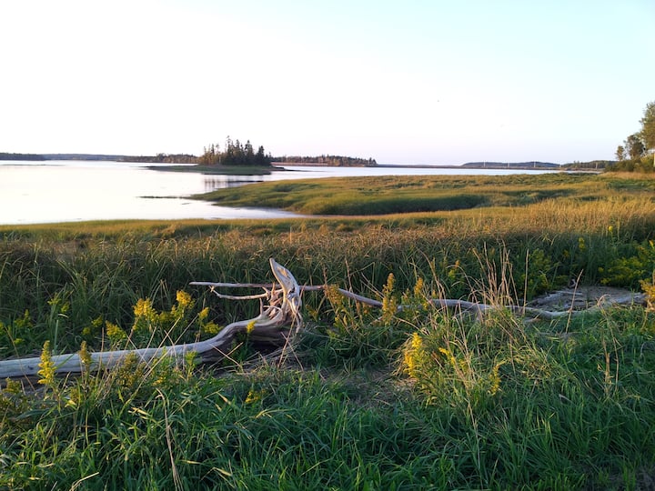 Quoddy Cottage (Rossport) Sleeps 6 - Pembroke, ME