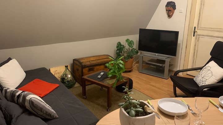 Appartement En Triplex Au Schluthfeld - Estrasburgo