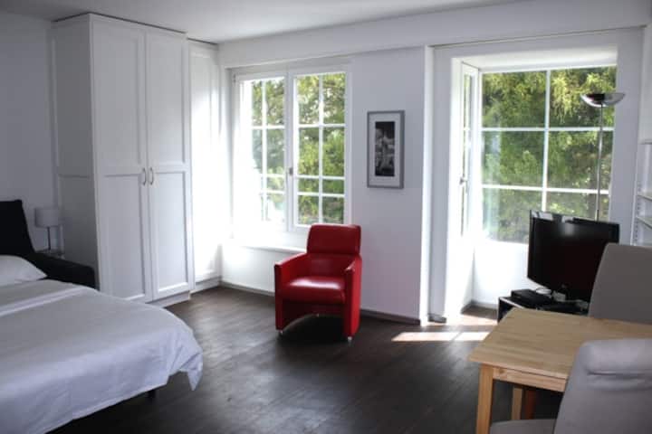 Charming Studio In The Old Town - Uz15 - Zürich