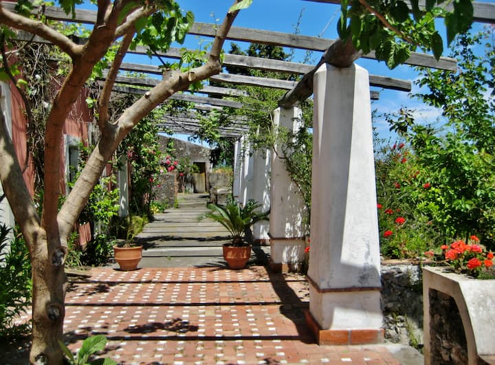Tra Le Vigne, L'etna E Il Mare 2 - Mascali