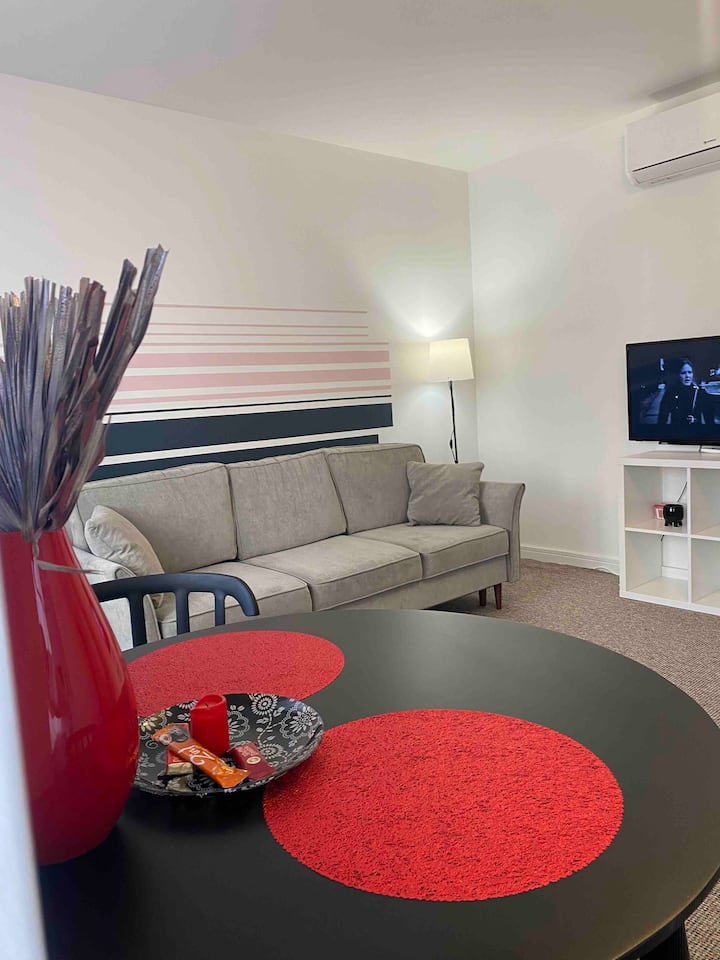 Comfortable Apartments In The Center Of Riga - Riga