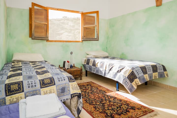 Peaceful Cottage On Organic Farm - Benamocarra