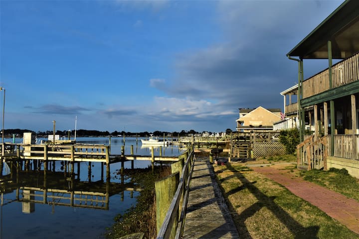 Assateague Island Vacation Rentals | House and Condo Rentals | Airbnb