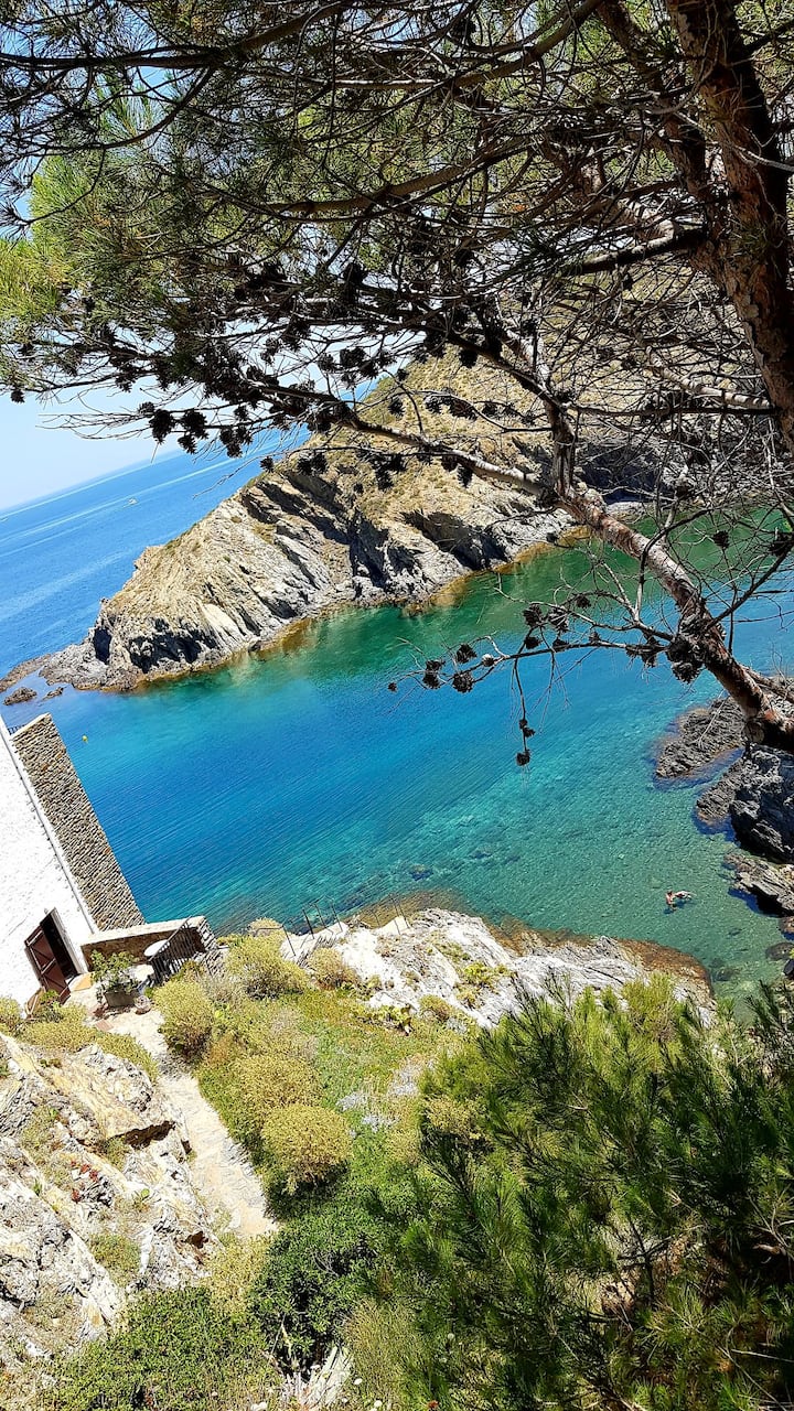 Joli Studio à Banyuls - Banyuls-sur-Mer