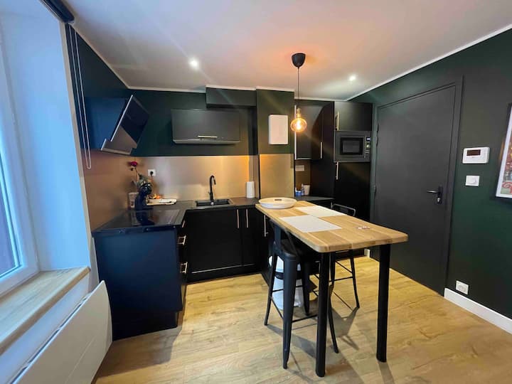 Charmant Appartement Proche Du Centre - Clermont-Ferrand