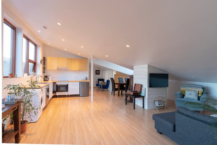 Spacious Loft Apartment - Islande