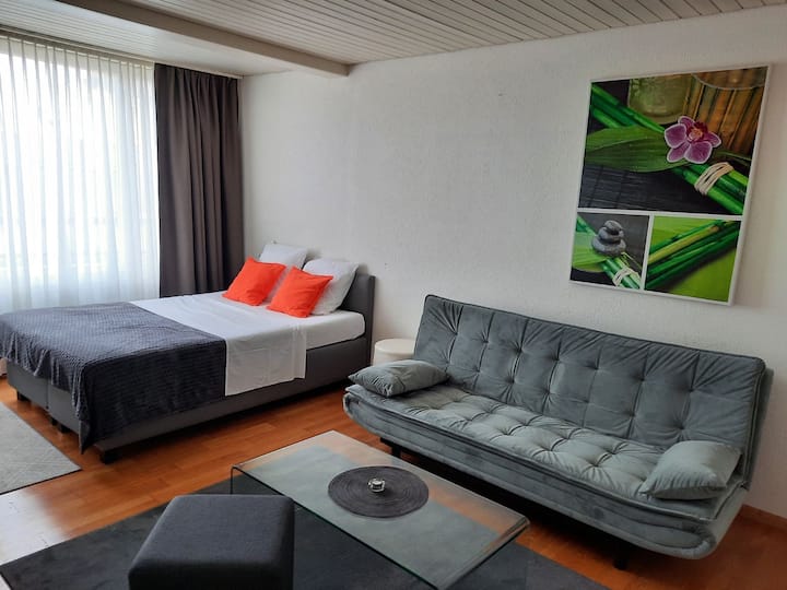 3 Room (2br) Apartment Zurich City - Zürich
