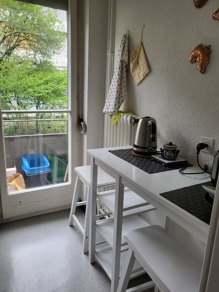 Cosy Half-flat - Bern