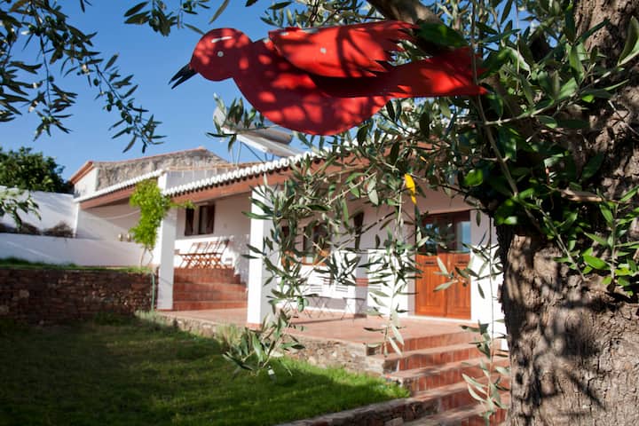 Home Holiday In Alentejo - Mértola