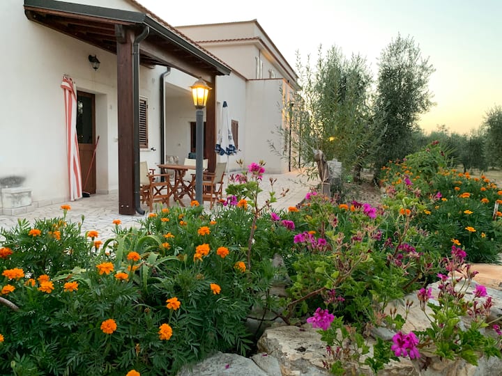 Casa Vigna Grande N 6 - Vico del Gargano