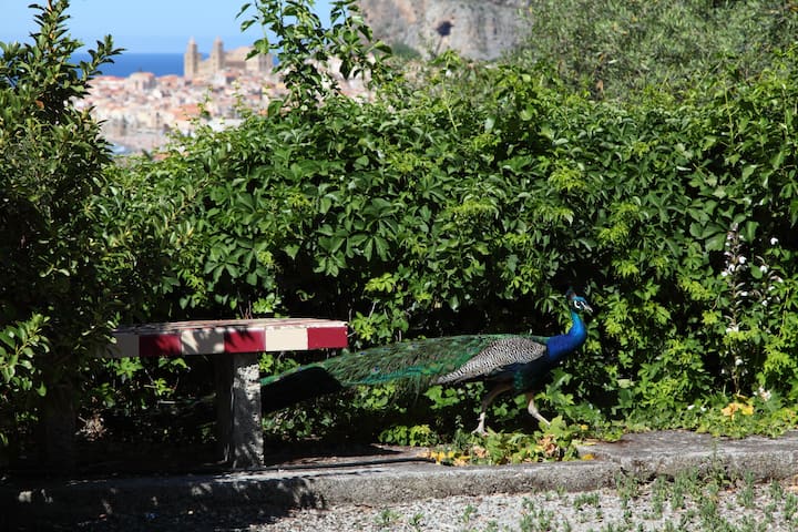 La Casa Del Pavone - Cefalù