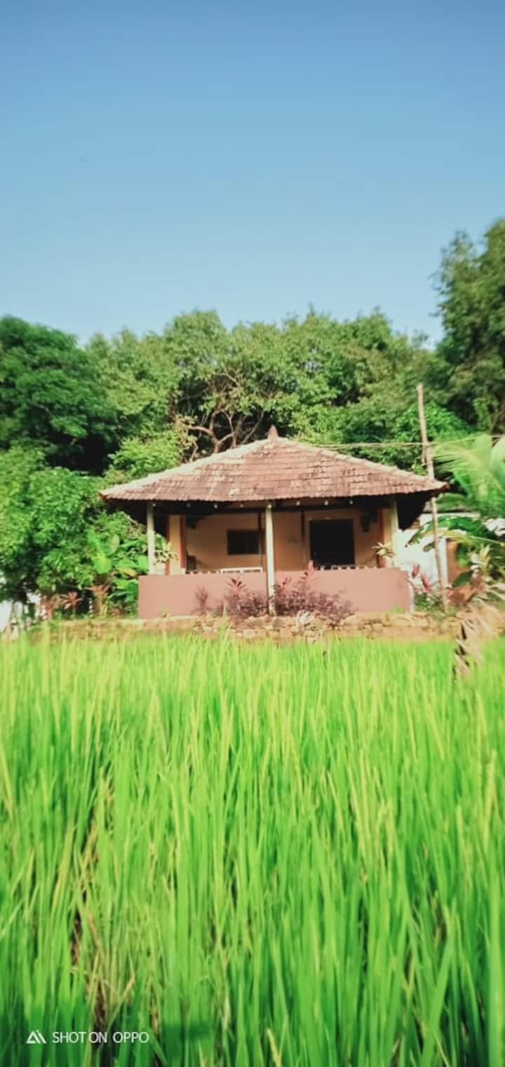 Narayan Farmstay - Gokarna