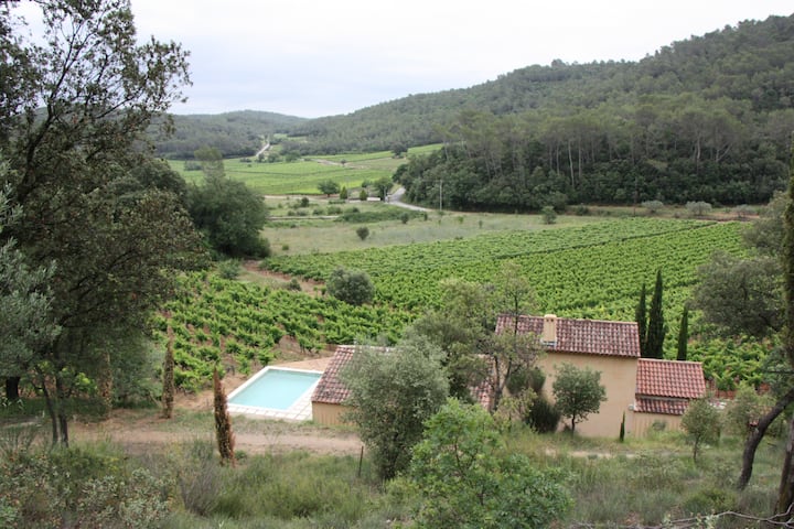 Small Vineyard In Provence - Cotignac