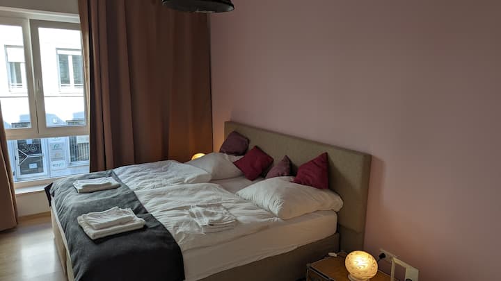 Zentrales Apartment Für Bis Zu 6 Personen - Múnich