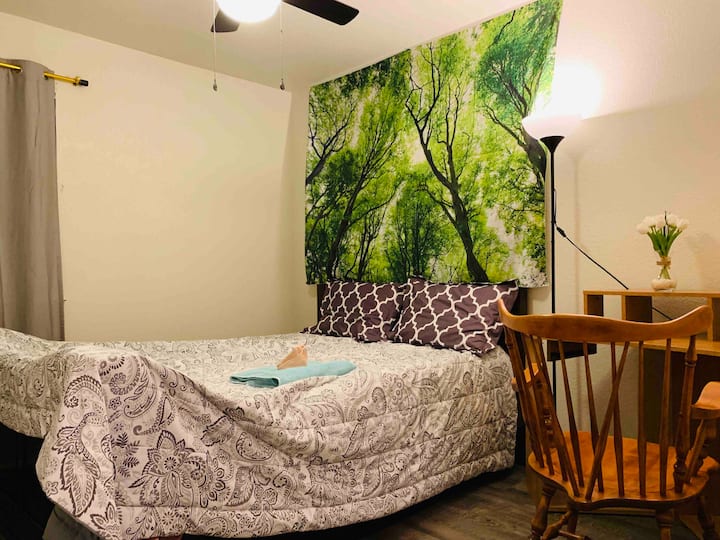 B1 Room-beautiful Home-queen Bed 2nd Floor+netflix - Stockton, CA