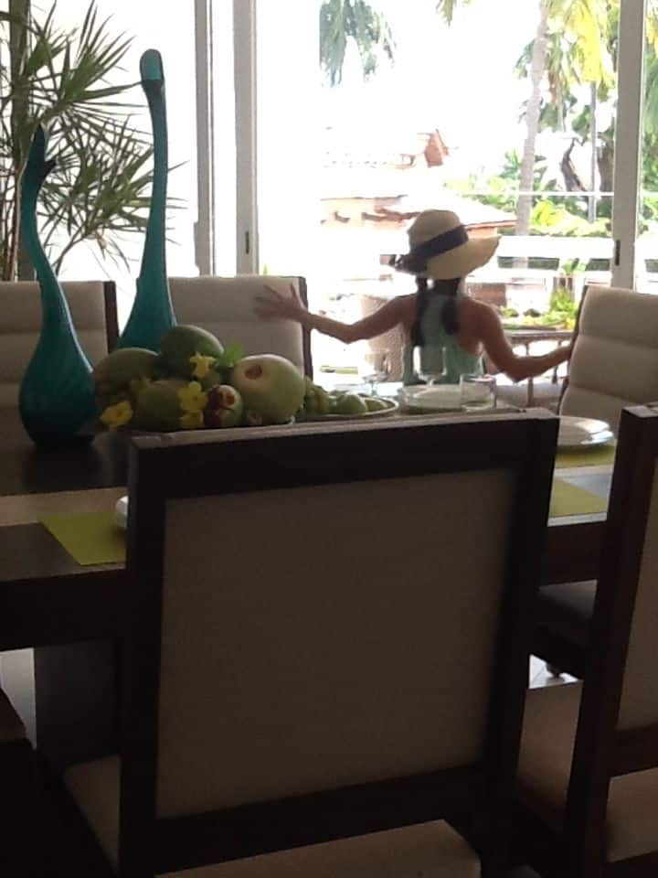 Departament Nuevo Totalmente Amueblado En Vallarta - Bucerías