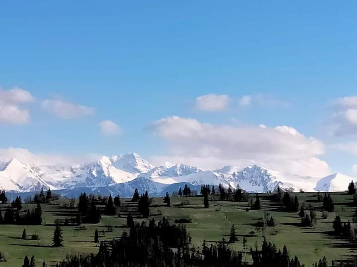 Blisko Nieba Stoją Tatry. - Kościelisko