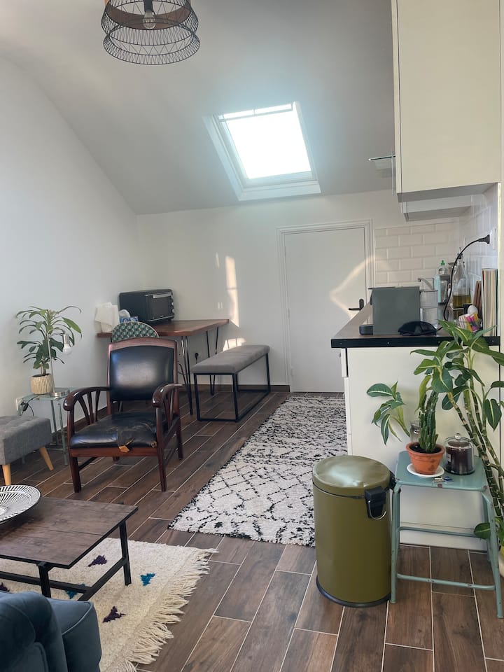 Appartement 2 Pièces, Ensoleillé Plein Sud. - Argenteuil