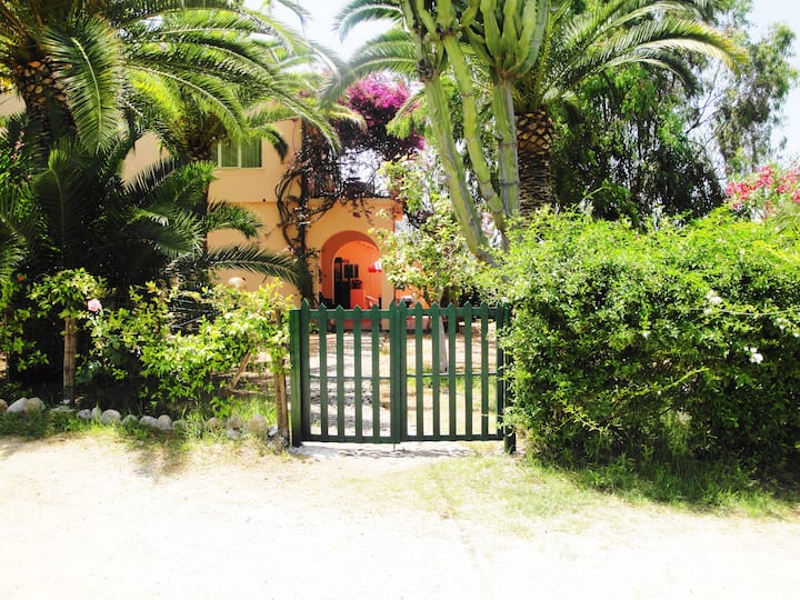 Casa Delle Palme Con Vista  Sul Mare - Parghelia