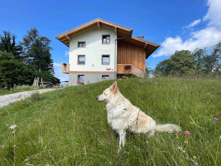 Family Flat For 6pers. - Belluno