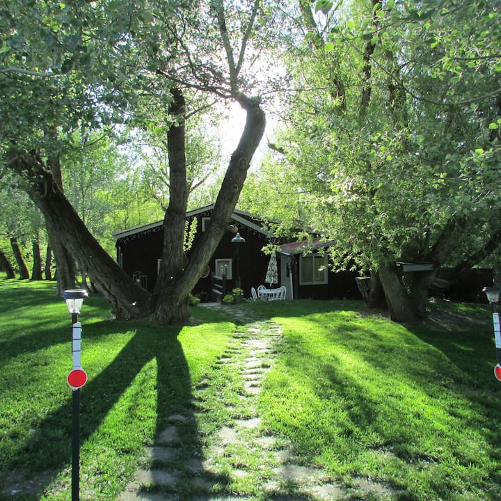 Mnt House In The Trees Available! - Steamboat Springs