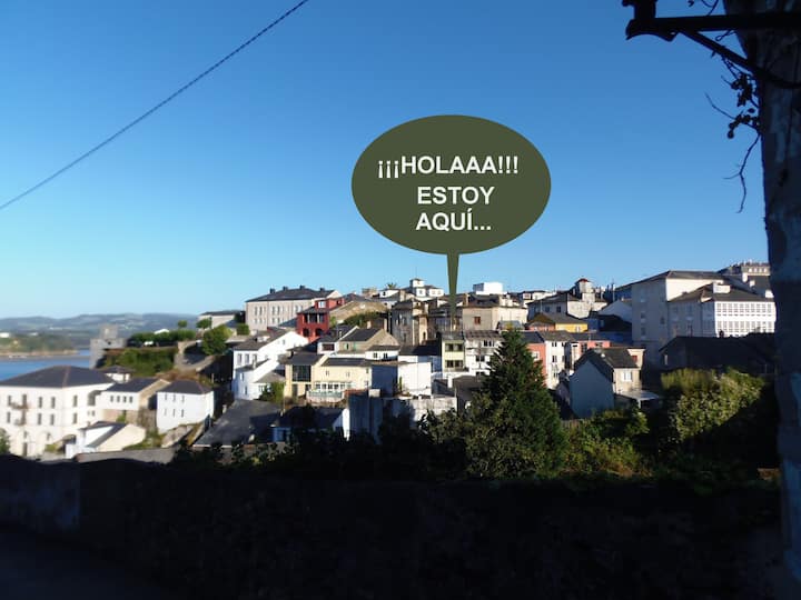 Amando Pérez 53; Ribadeo - Tapia de Casariego