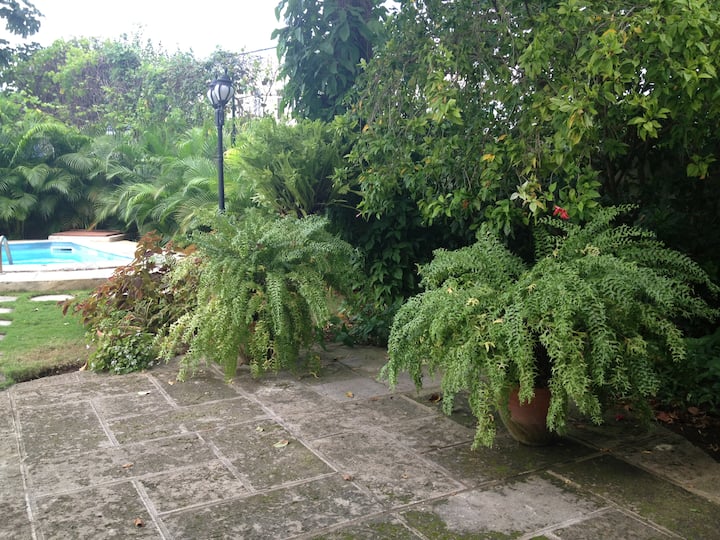 Casa "Alisson" - La Habana