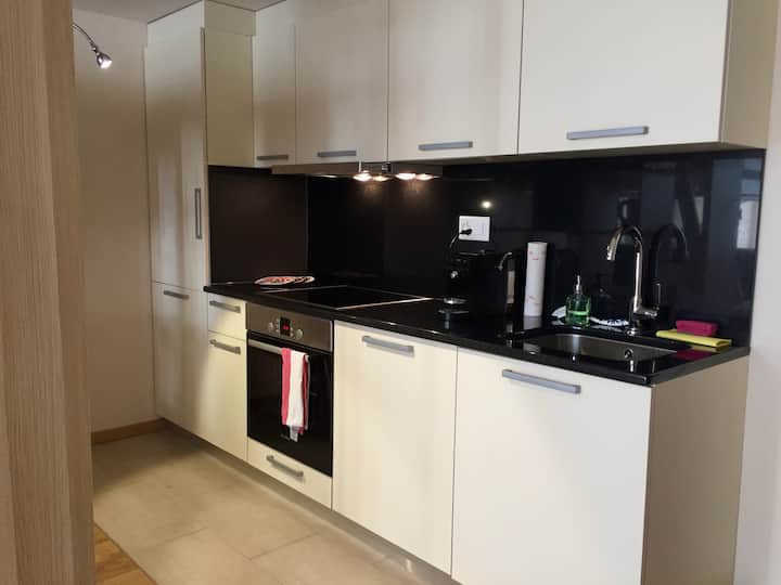City Studio, Old Town, 3min To Bern Station - Berne