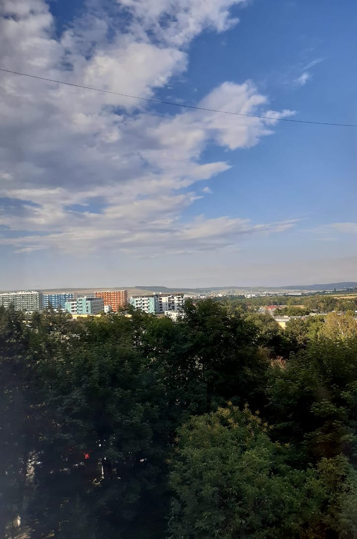 Quiet And Lovely Studio Apartment - Cluj-Napoca