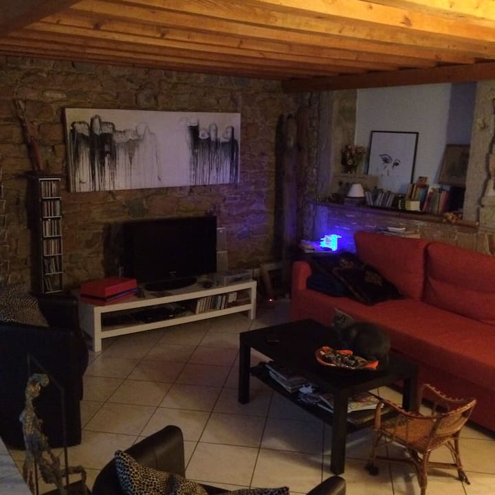 Chaleureux Appartement Au Coeur De La Croix Rousse - Lyon