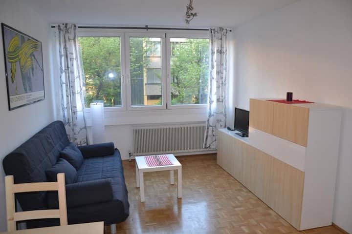 Apartment Salzburg-south - Salzburg