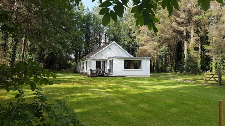 Mountshannon Holiday Rentals & Homes - County Clare, Ireland | Airbnb