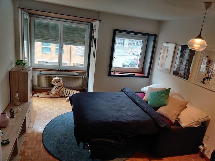 Cozy Private Apt. In Central Bern - Bern
