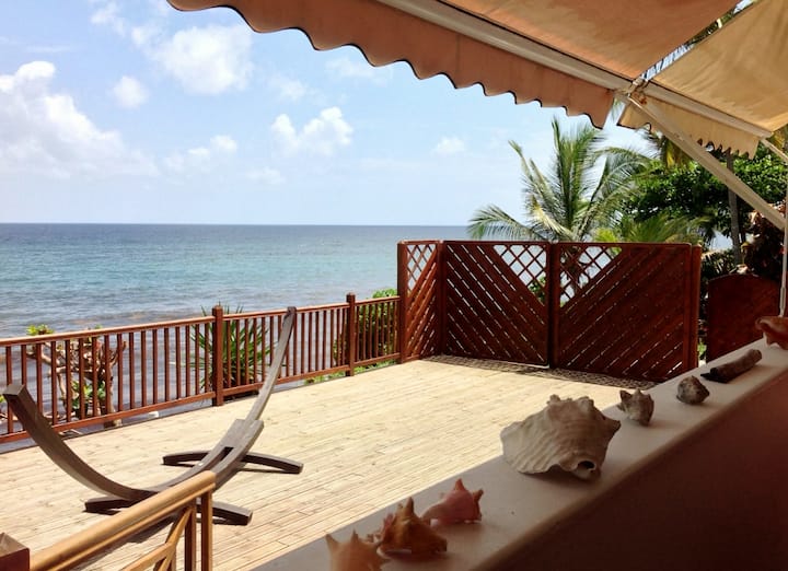 Appartement 4 Chambres Sur La Plage - Martinica