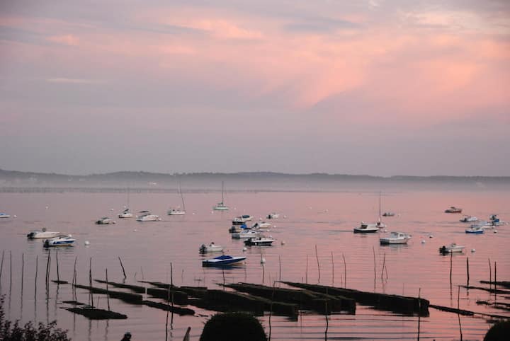 Appart Lumineux 1ère Ligne, Accès Direct Plage - Cap Ferret